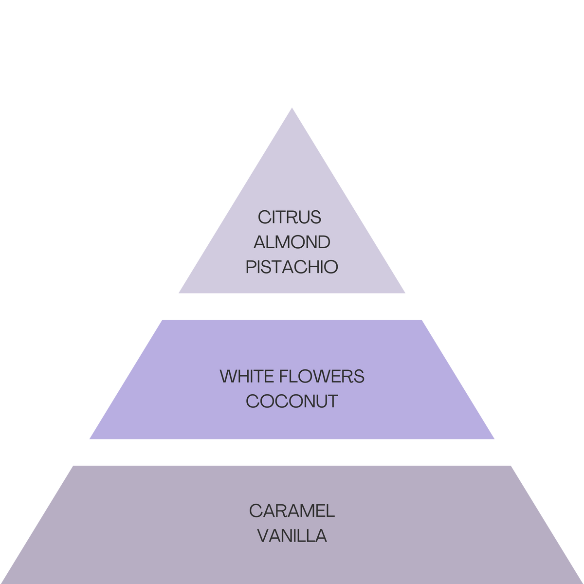 DZL - Brume Parfumée Intense Moments - 85 ml – ONIVO COSMETICS